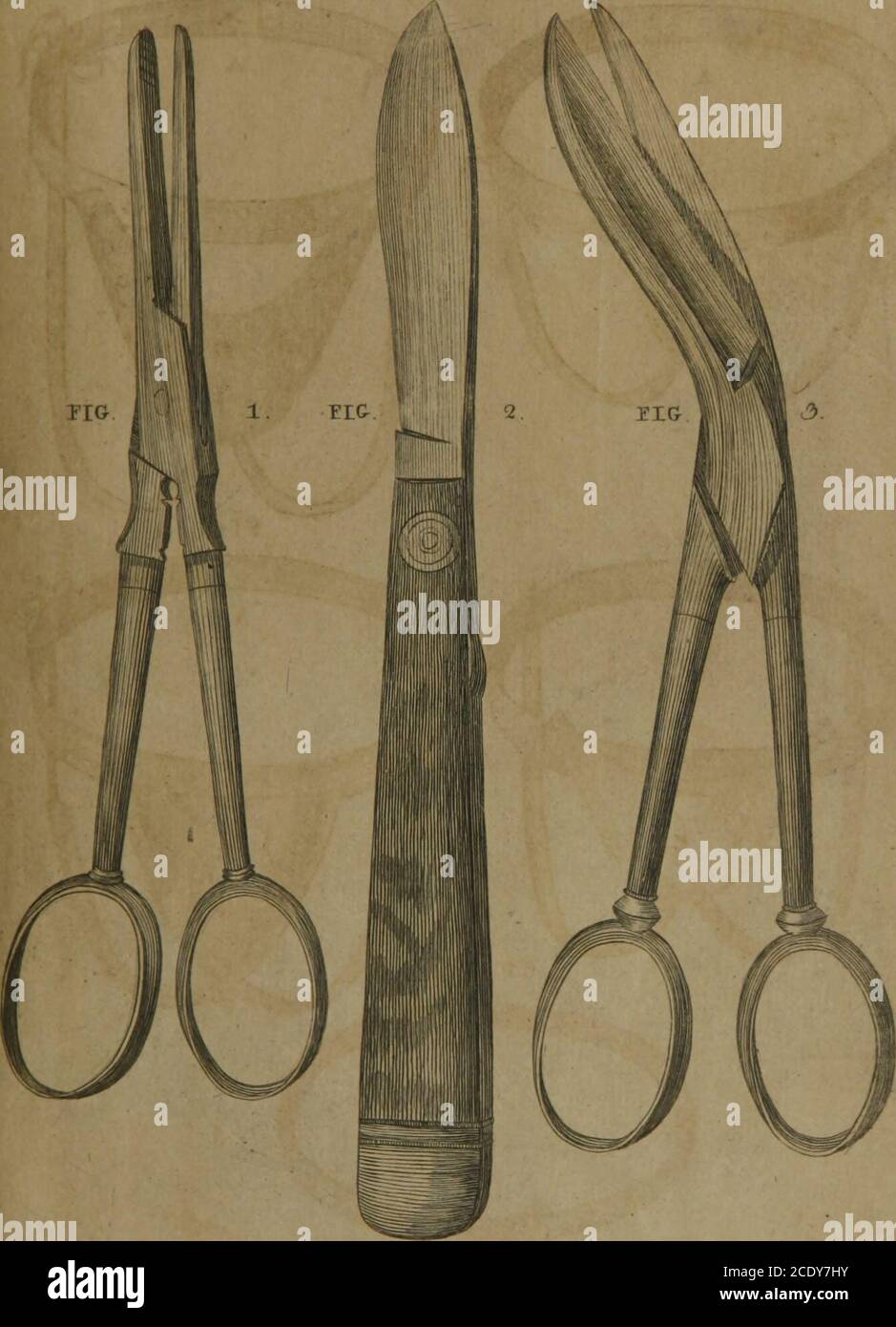 Fig rig hi-res stock photography and images - Alamy