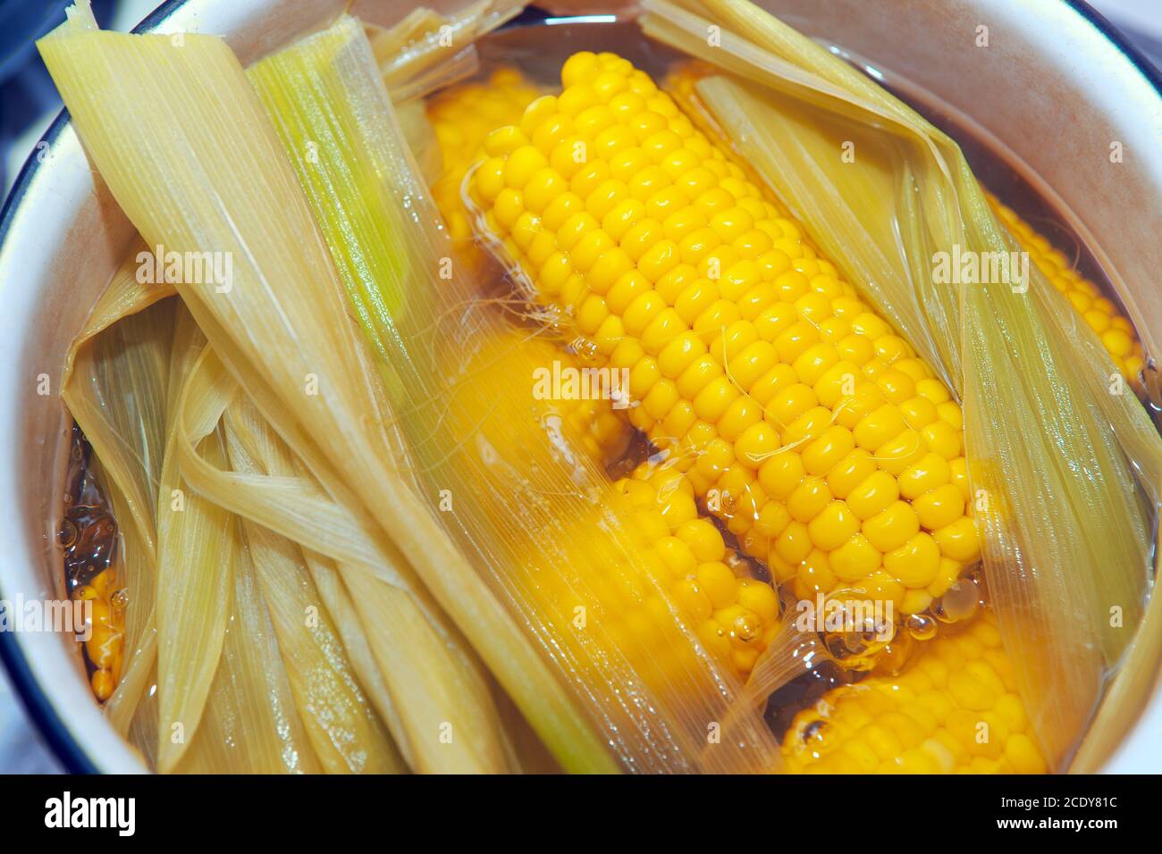 Boiling Sweet Corn at the Pan . Sweet boiling maize Stock Photo - Alamy