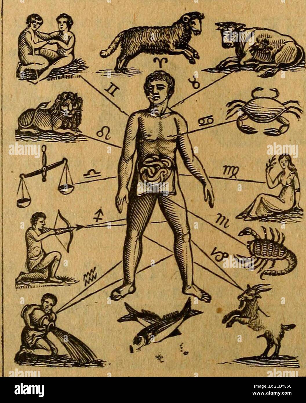 . Turner's North Carolina almanac : for the year of our Lord ... . This ...