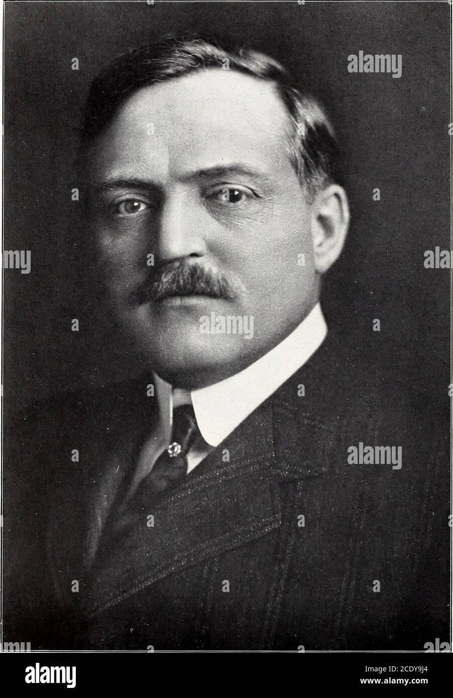 Allison mason hi-res stock photography and images - Alamy