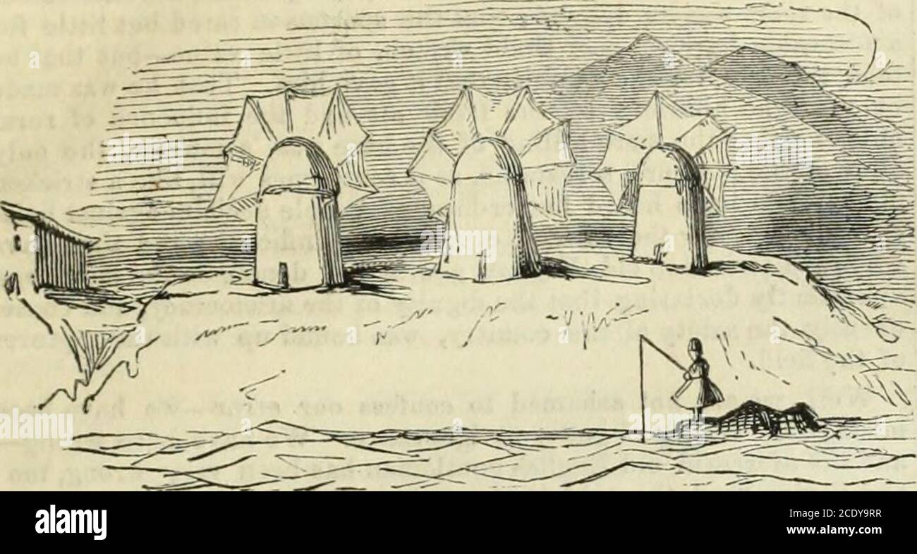 Captain moonlight hi-res stock photography and images - Alamy