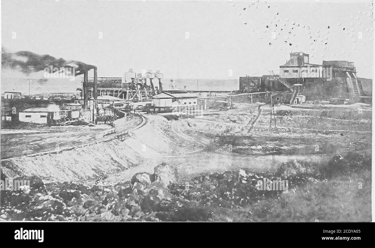 Iodine plant Black and White Stock Photos & Images - Alamy