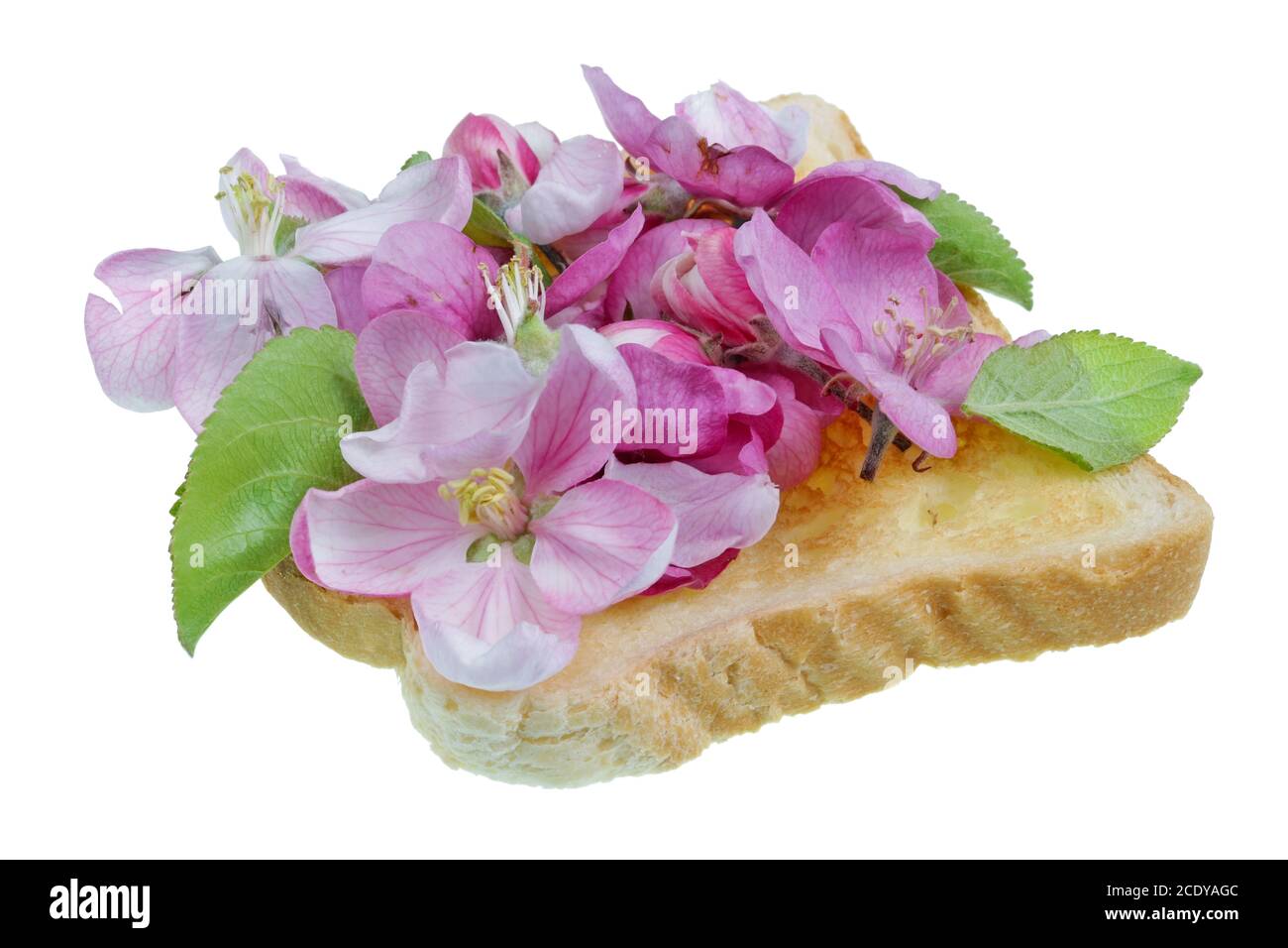 Fried toast bread with pink petals of spring apple tree flowers- exotic ...