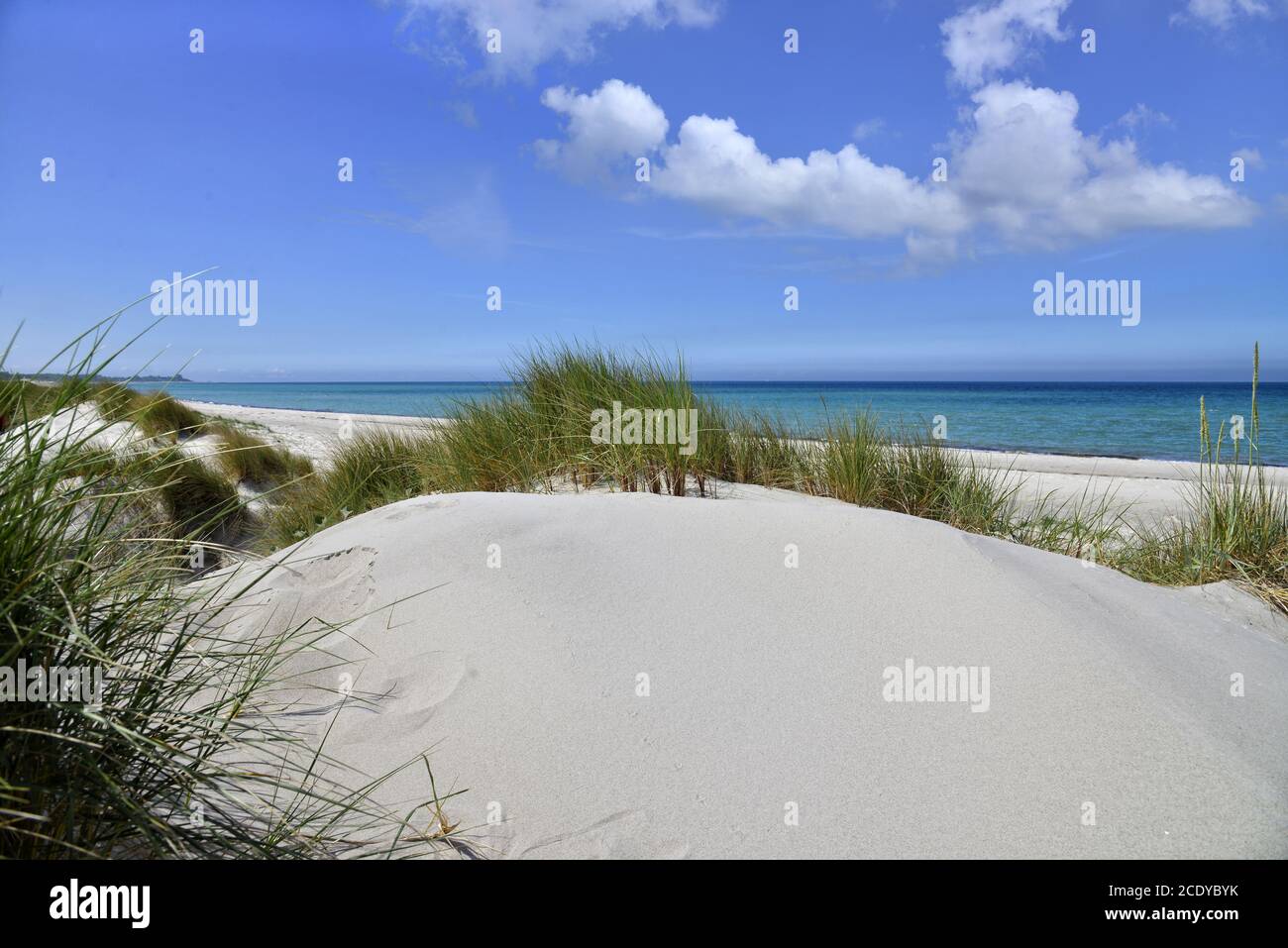 Baltic peninsula hi-res stock photography and images - Alamy