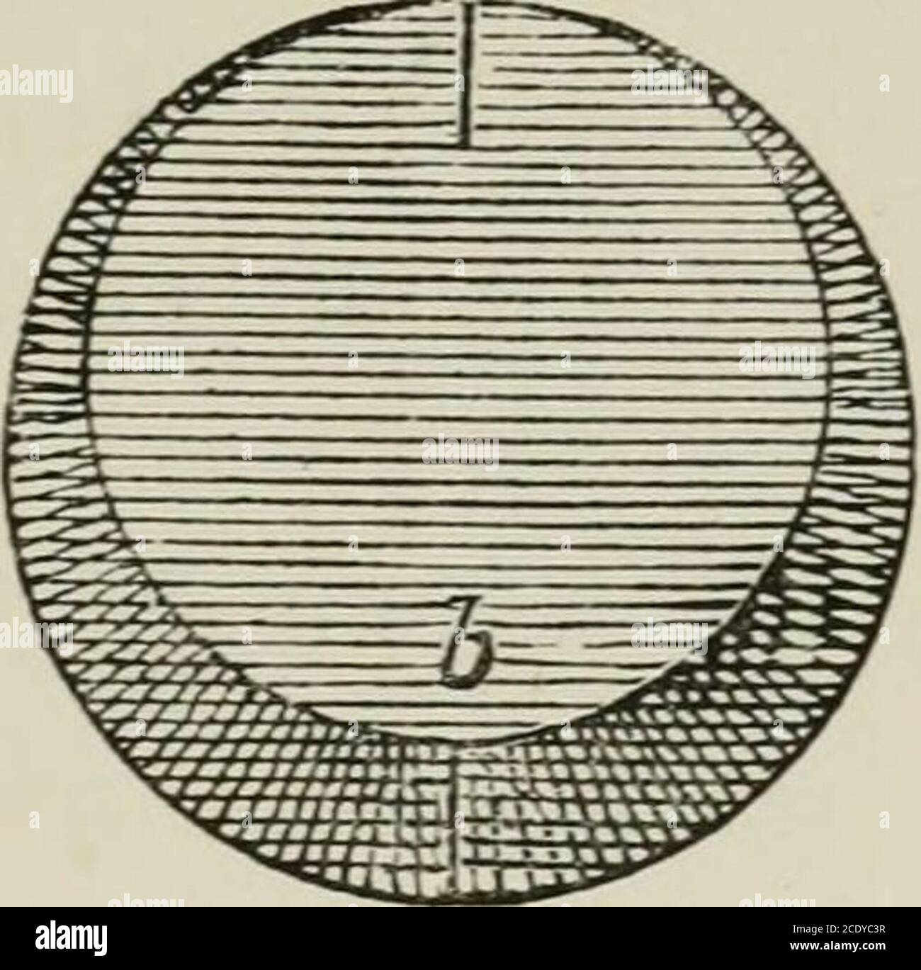 . The clinical use of prisms; and the decentering of lenses . THEIR ...