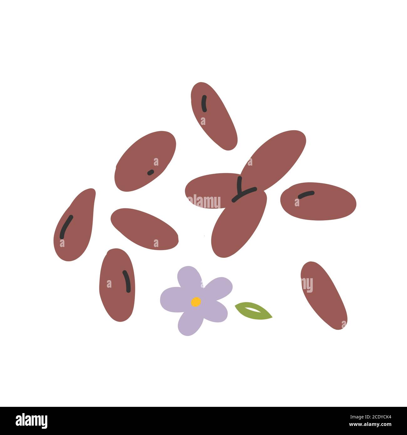 Flax Seeds isolated, vector hand drawn art, flaxseed with flower ...