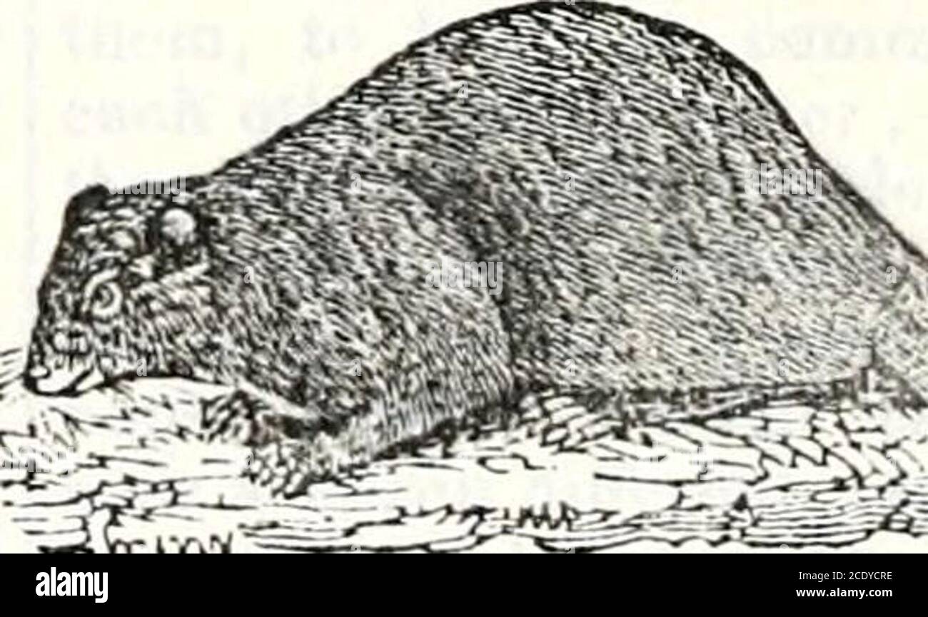 Map of castor hi-res stock photography and images - Alamy