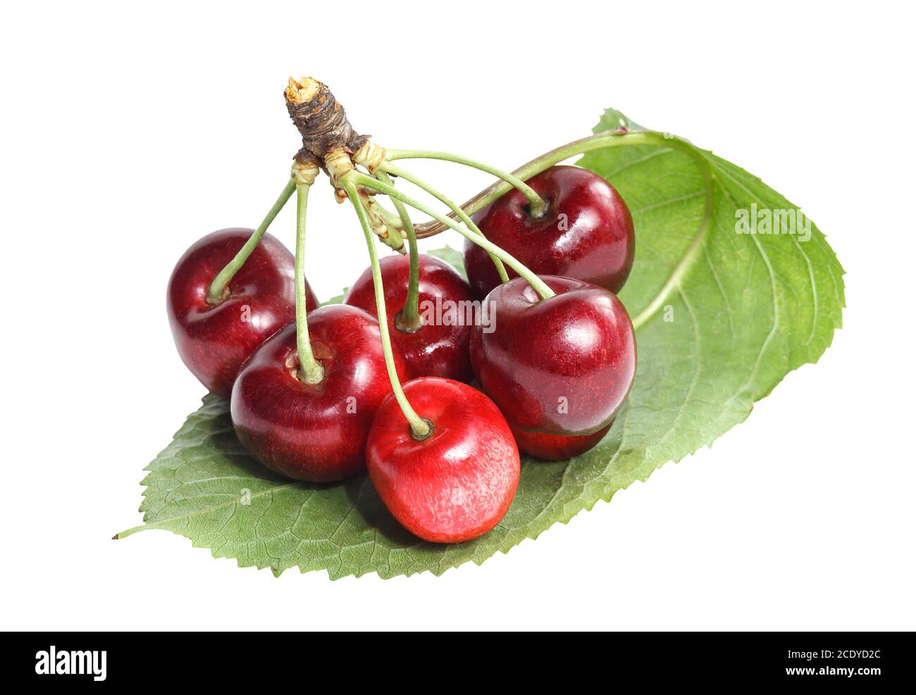 Bunch cherries Cut Out Stock Images & Pictures - Alamy