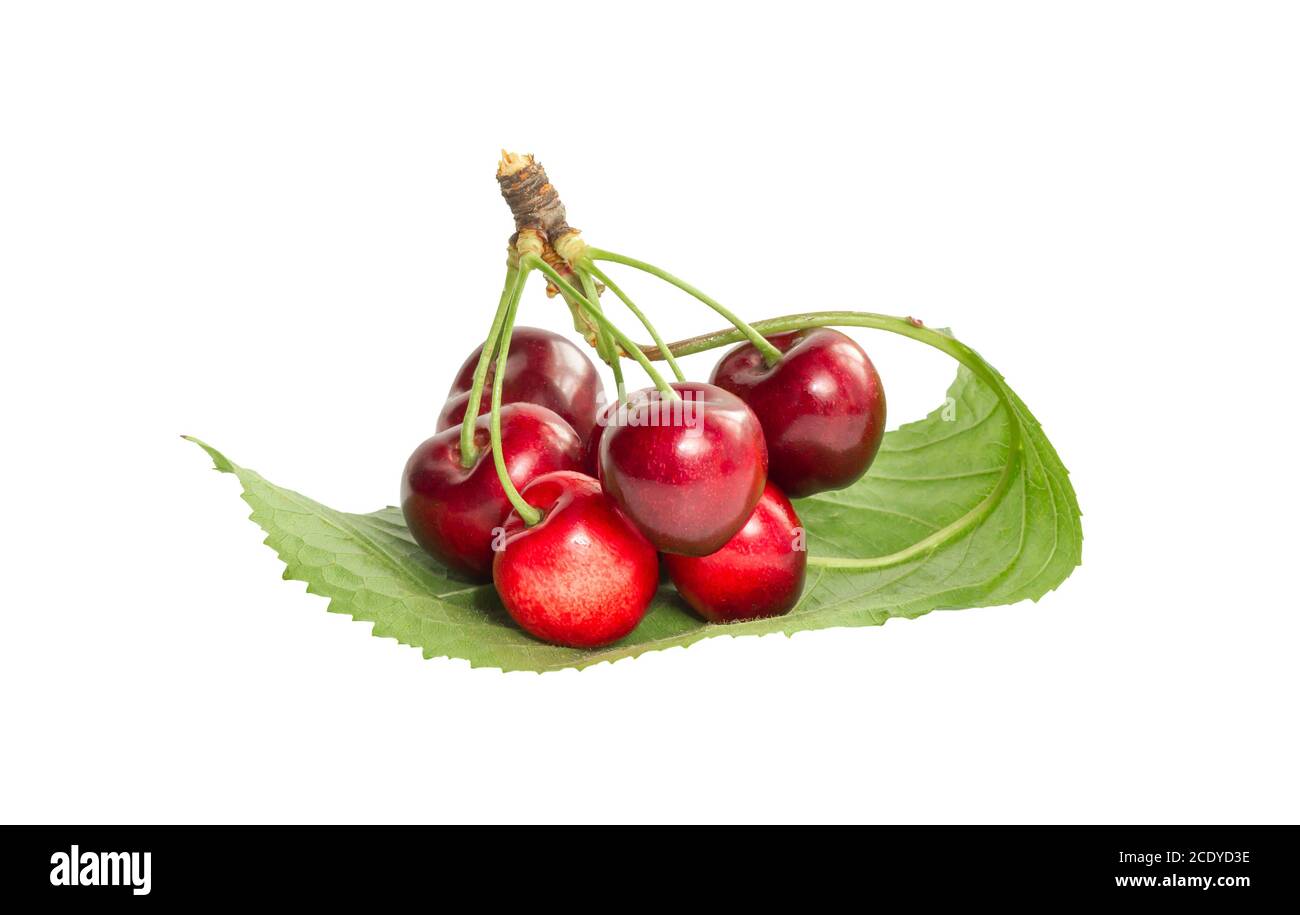 Bunch of cherries hi-res stock photography and images - Alamy
