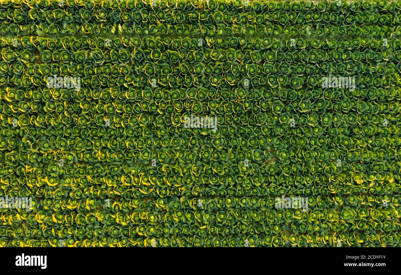 Aerial view sunset over field hi-res stock photography and images - Alamy