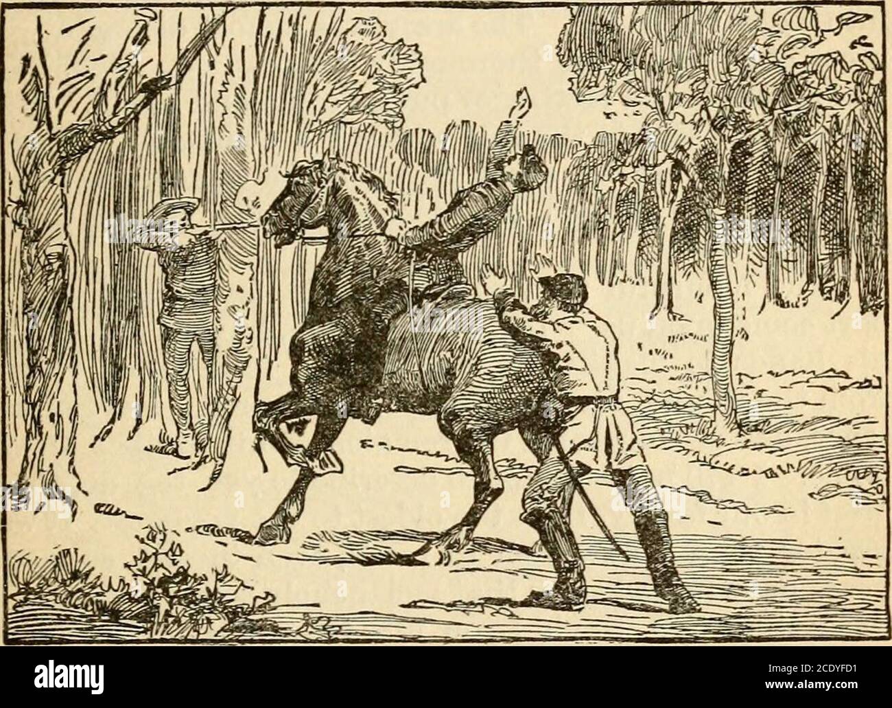 Julius caesar uncle hi-res stock photography and images - Alamy