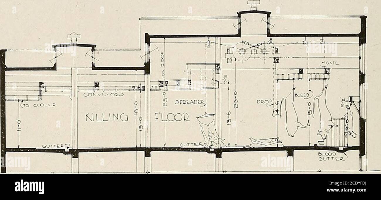 . Packing house and cold storage construction; a general reference work ...
