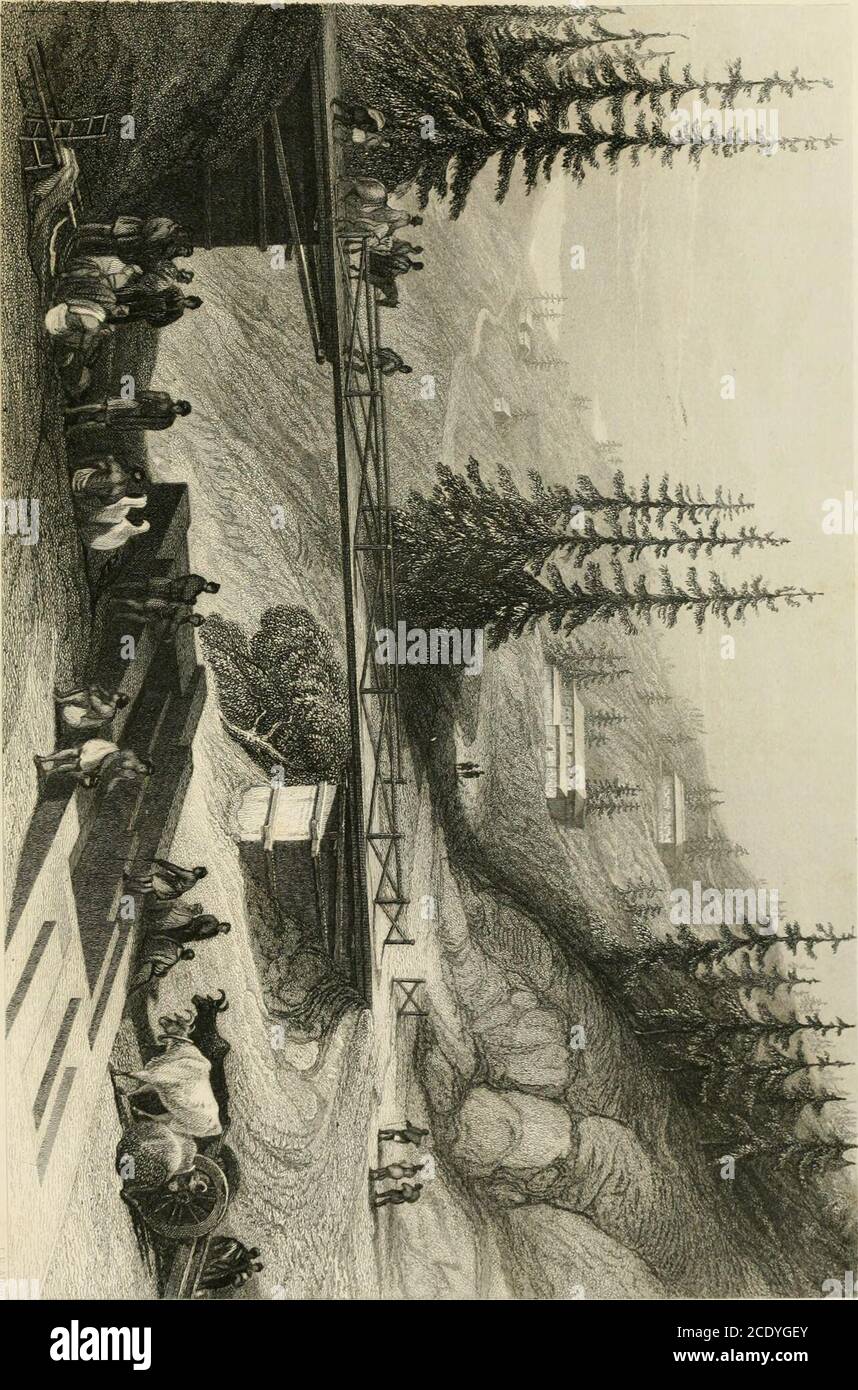 Lord Combermere High Resolution Stock Photography and Images - Alamy