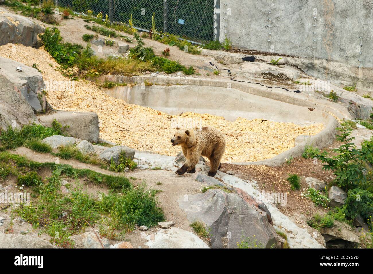 Korkeasaari zoo in helsinki hi-res stock photography and images - Alamy