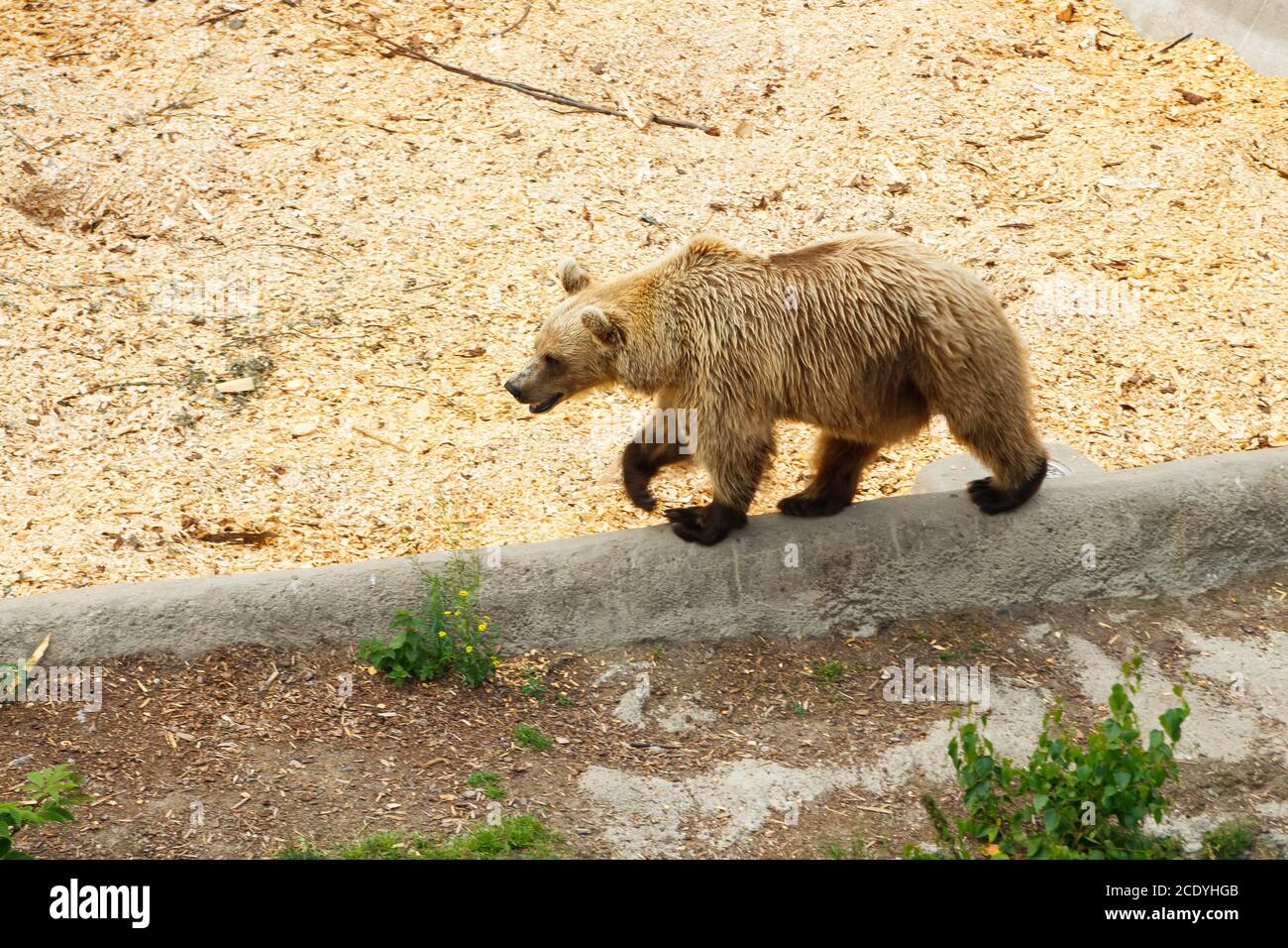 Korkeasaari zoo in helsinki hi-res stock photography and images - Alamy