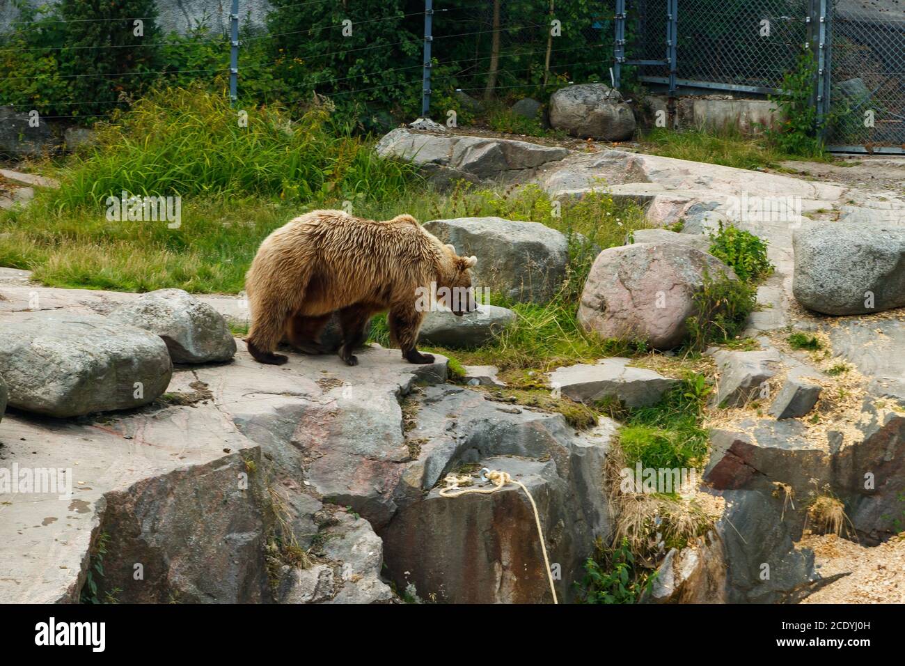 Korkeasaari zoo in helsinki hi-res stock photography and images - Alamy