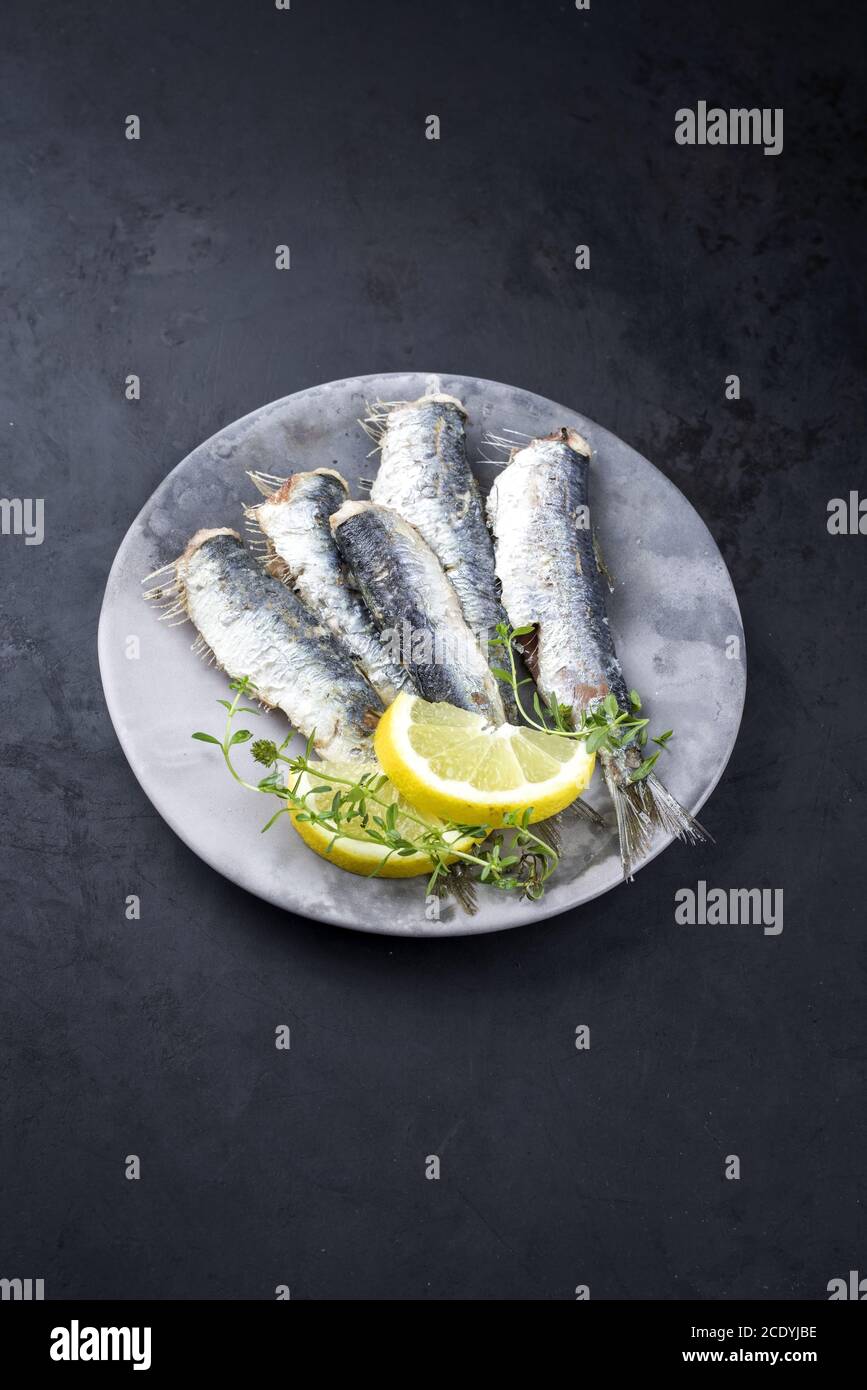 Design sardines hi-res stock photography and images - Alamy