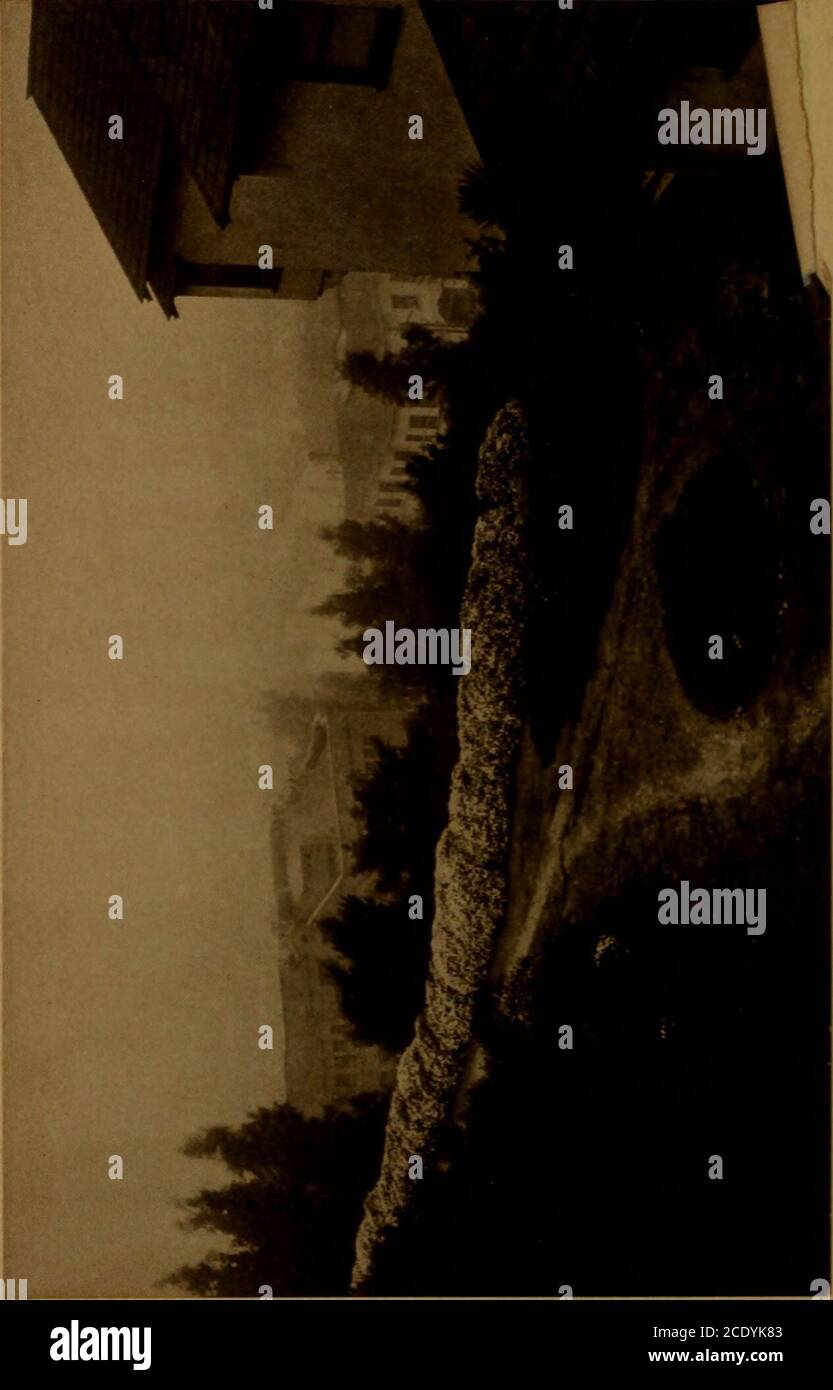 . The ephebic oath . THE5TRENCTH0F THEH1LU Stock Photo - Alamy