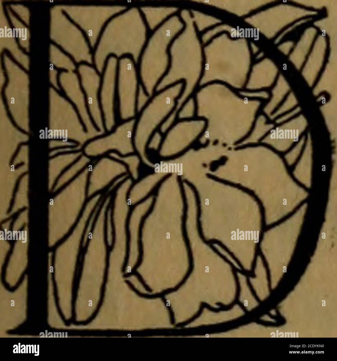 Broadsteps hi-res stock photography and images - Alamy