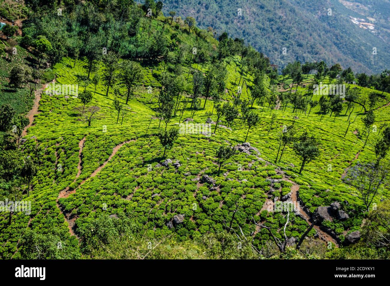 Beautiful ooty hill station hi-res stock photography and images - Alamy