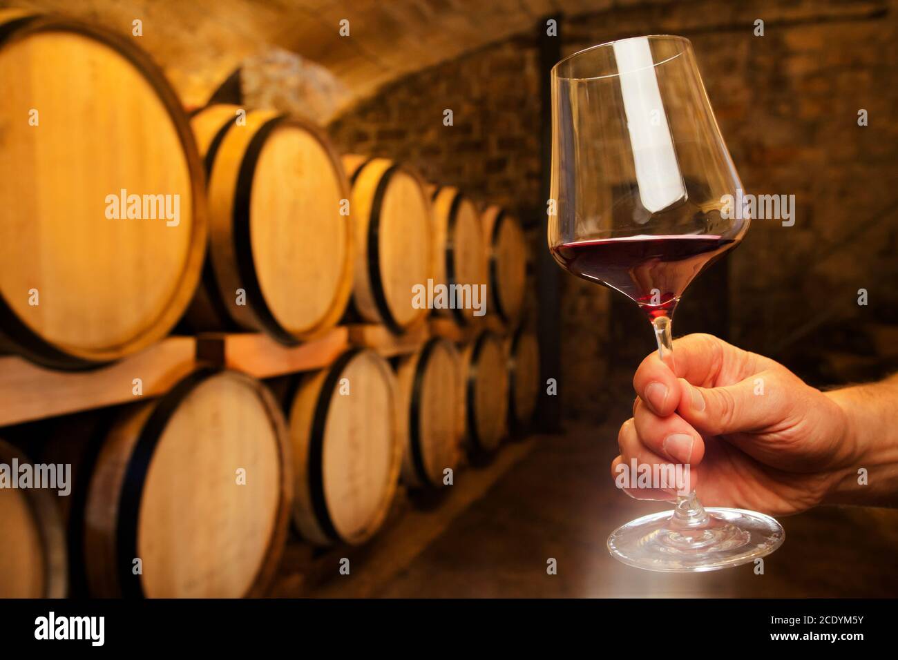 Male hand presenting a glass of red wine in an old wine cellar - focus ...