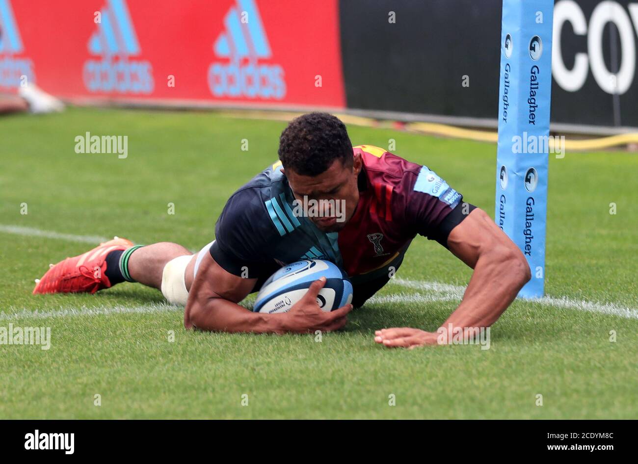 Harlequins nathan earle hi-res stock photography and images - Alamy