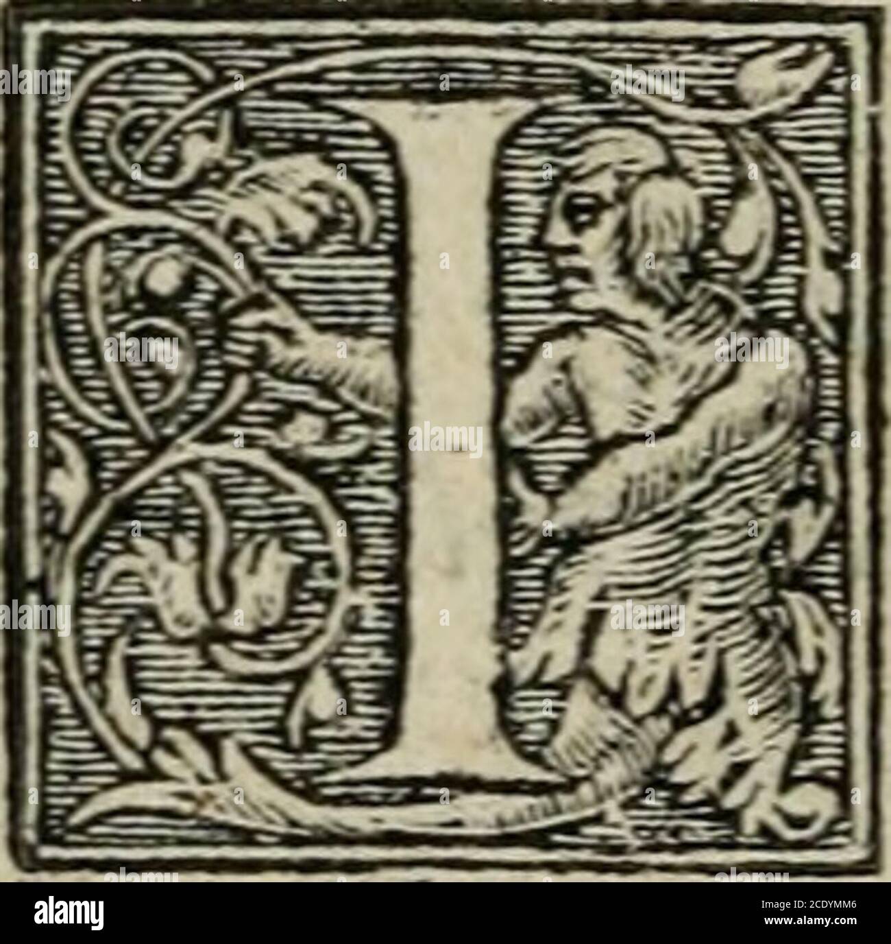 Soubs hi-res stock photography and images - Alamy