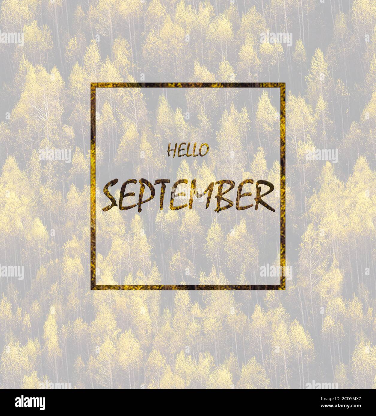Hello september on a yellow trees background Stock Photo - Alamy