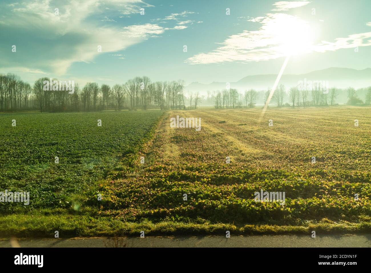 Bright areas hi-res stock photography and images - Alamy