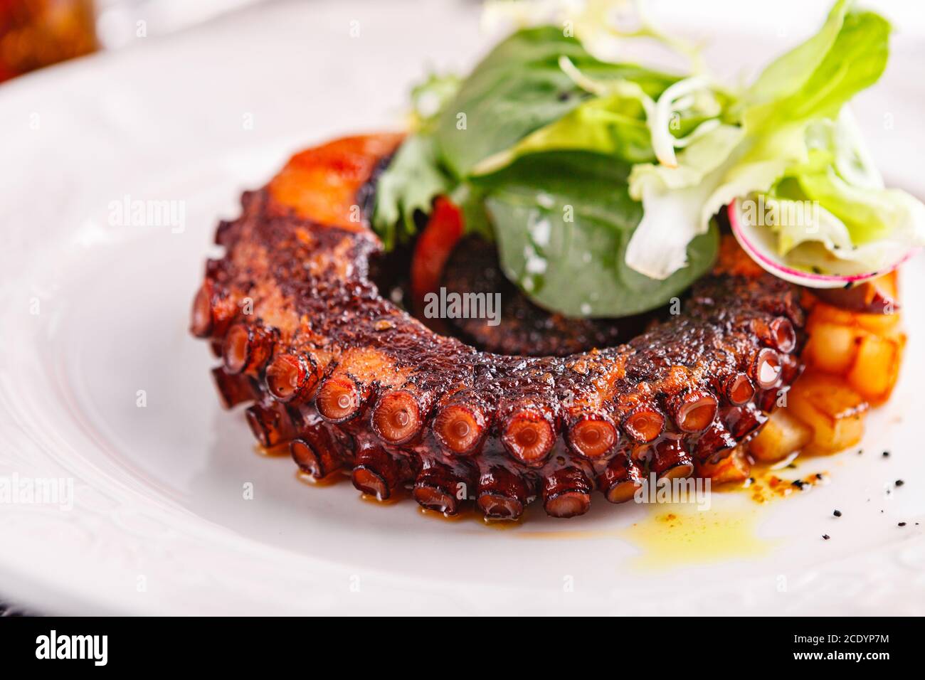Tentacles restaurant hi-res stock photography and images - Alamy