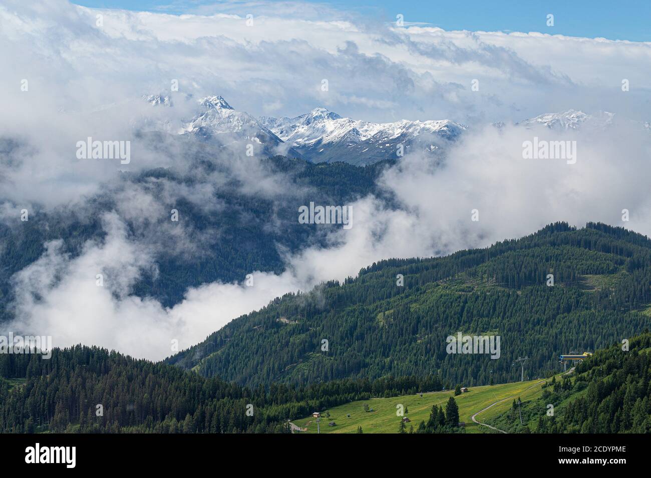 The alps fauna hi-res stock photography and images - Alamy