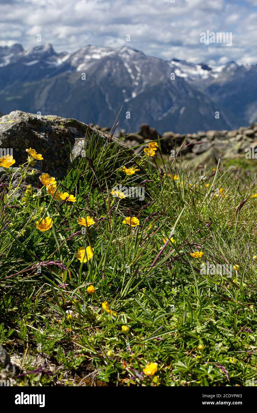 Tyrolean mountains hi-res stock photography and images - Alamy