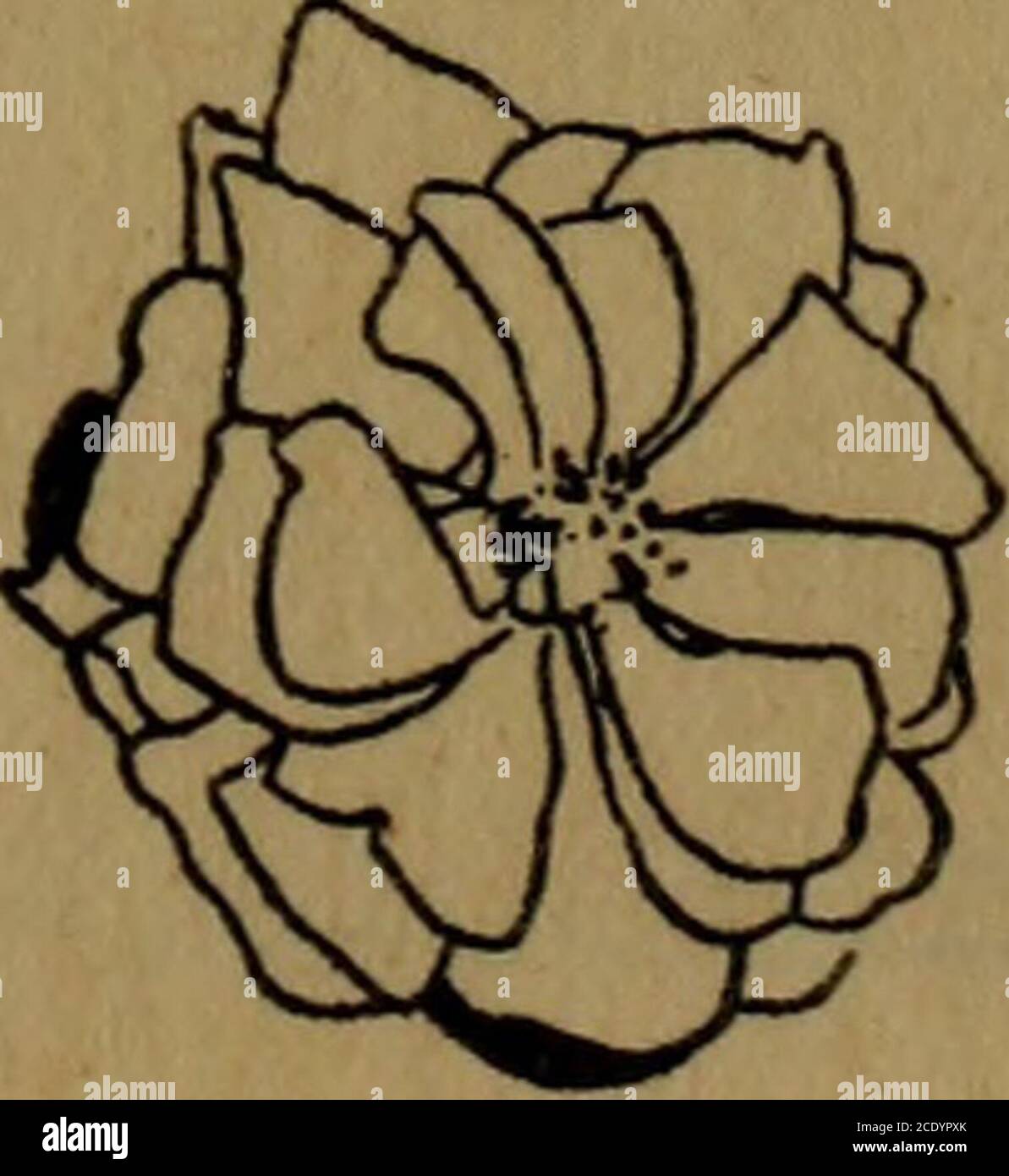 . The ephebic oath . ii in i 0 017 187 017 3 Stock Photo - Alamy