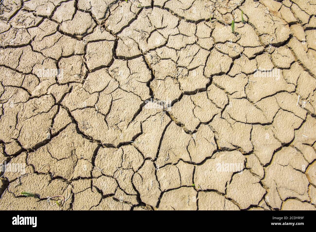 heat and dryness Stock Photo - Alamy