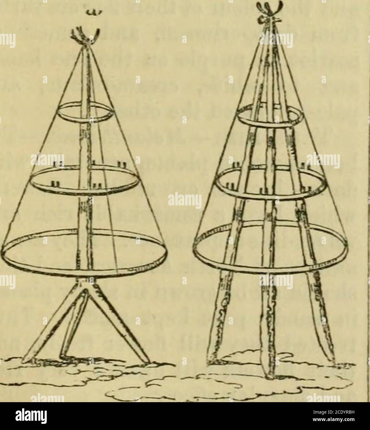 Usually large gardens tree hi-res stock photography and images - Alamy