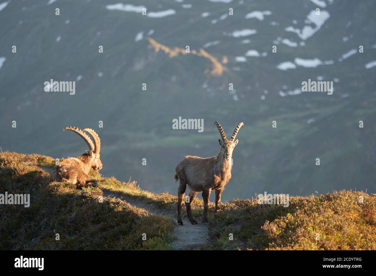 One beautiful mountain alpine hi-res stock photography and images - Alamy