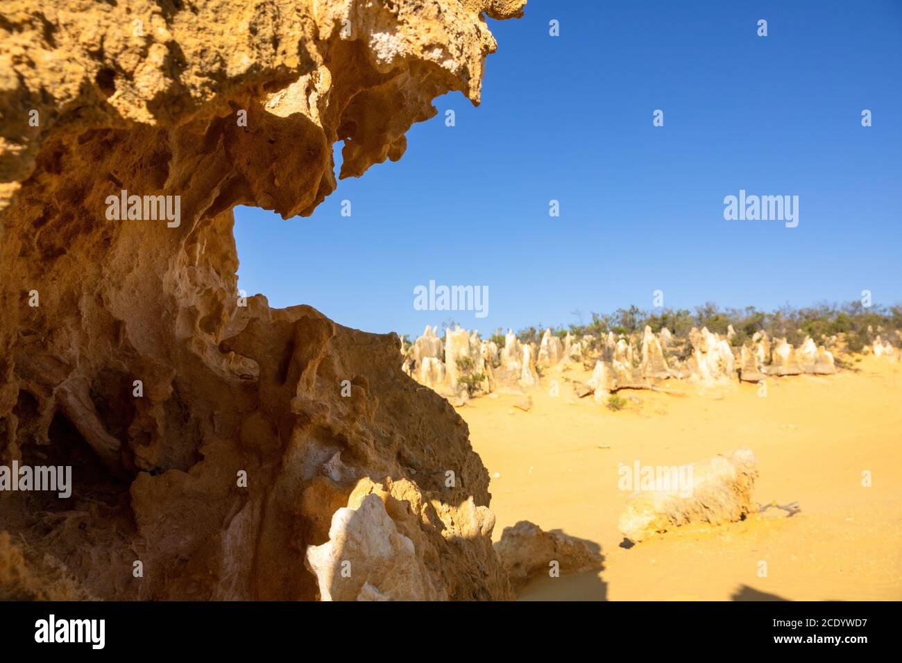 Pinnacles Desert in western Australia Stock Photo - Alamy