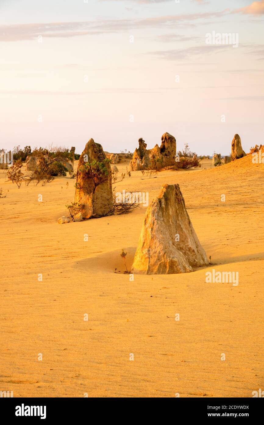 Pinnacles Desert in western Australia Stock Photo - Alamy