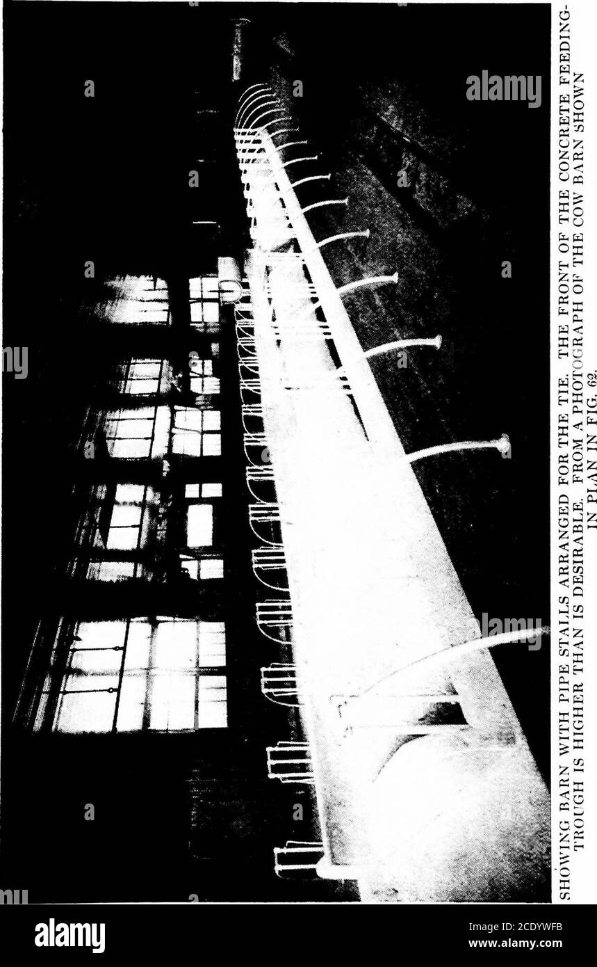 Stanchion Stall High Resolution Stock Photography and Images - Alamy