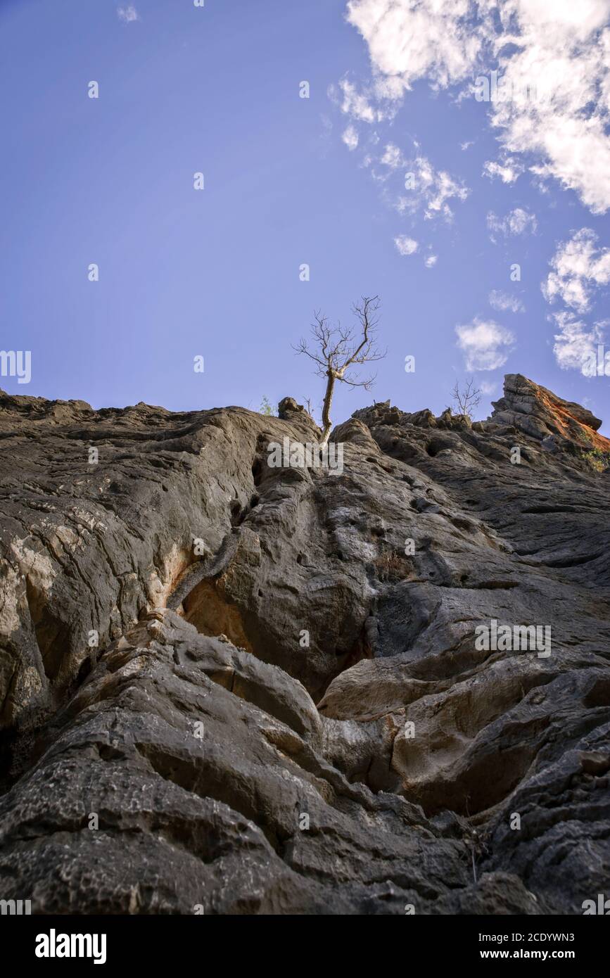 Withered face hi-res stock photography and images - Alamy