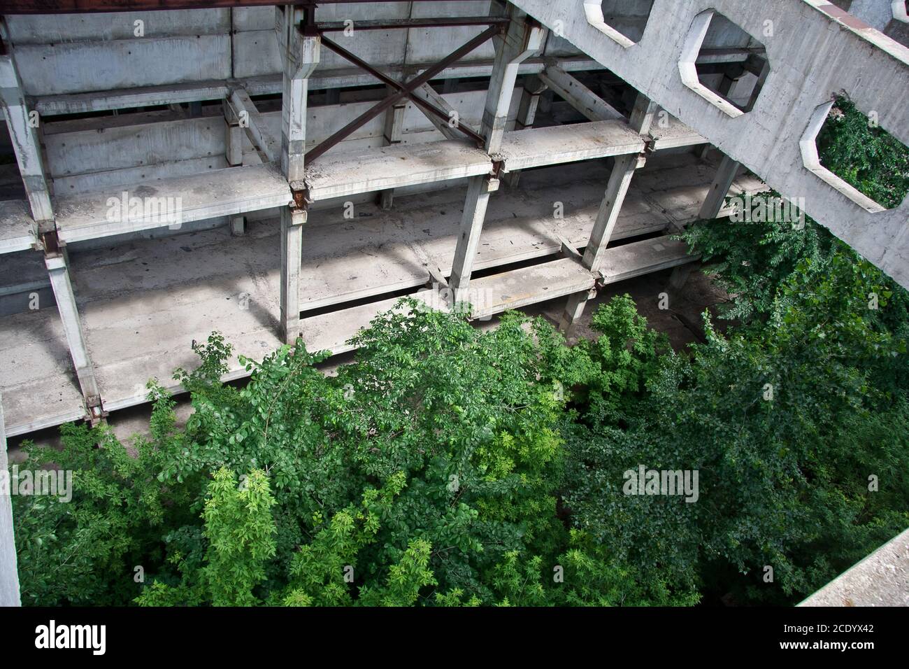 Old abandoned ruined industrial building overgrown by plants and trees ...