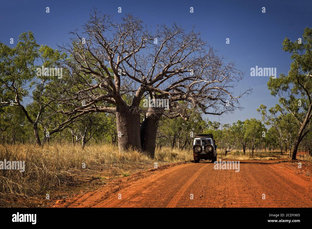 Outback Track at the Kimberleys - Western Australia Stock Photo - Alamy