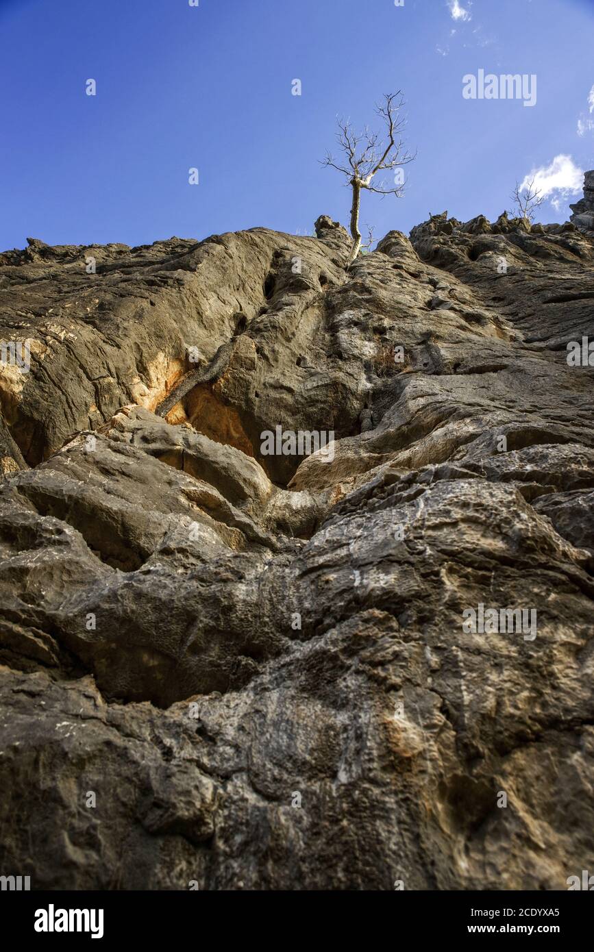 Face Withered High Resolution Stock Photography and Images - Alamy