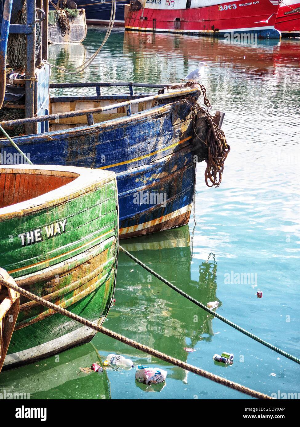 Portavogie fishing fleet Stock Photo - Alamy