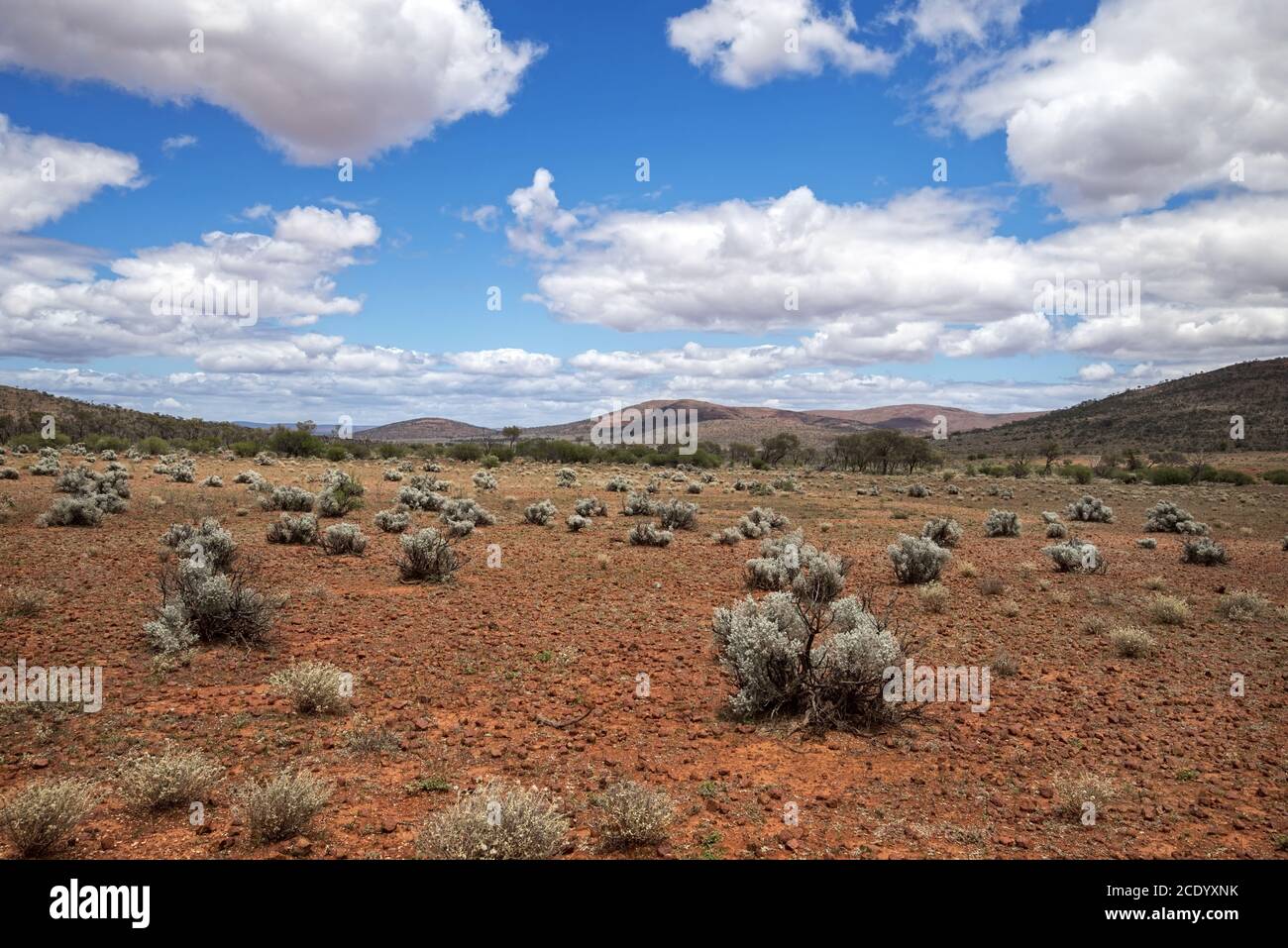 South Australia Outback desert with scrubs and trees under cloudy sky ...