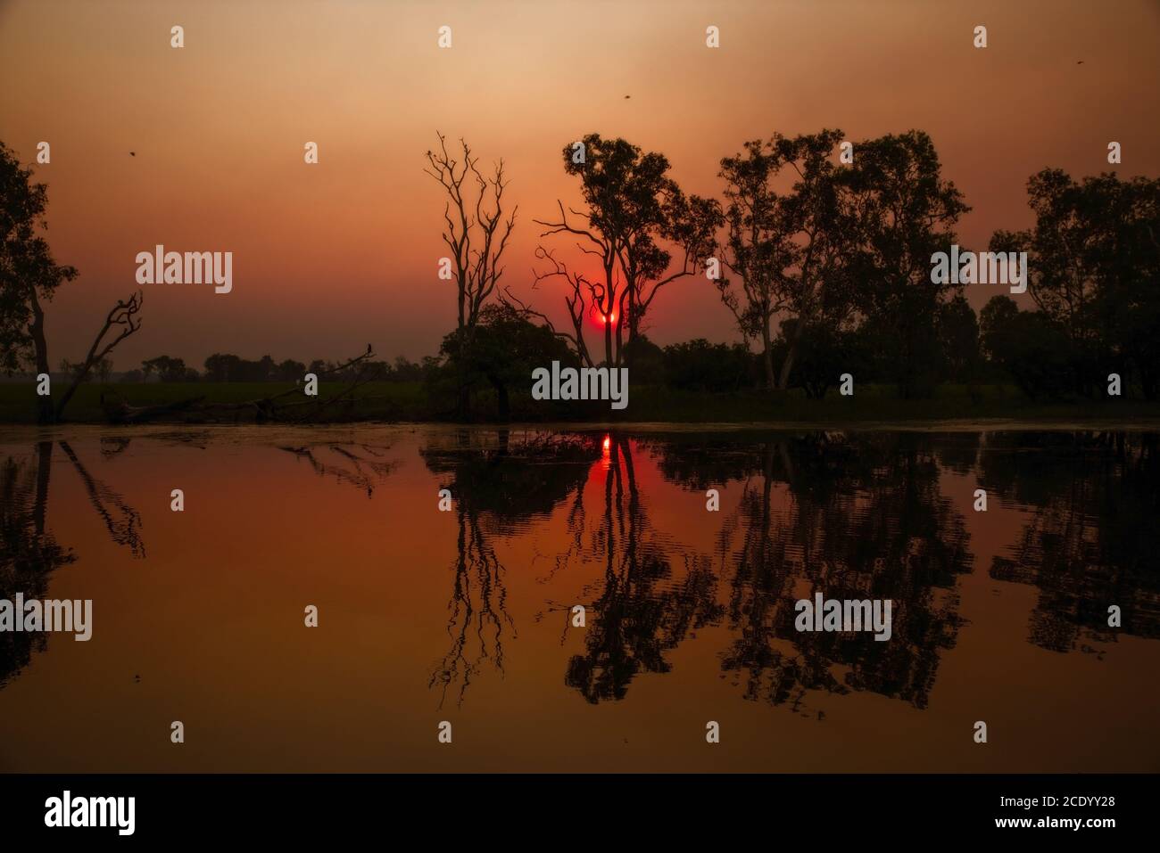 Twilight sunset at the swamp at the outback in Northern Australia ...
