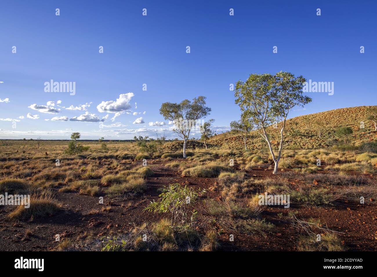 Large meteorite crater at the outback Australia – Wolf Creek crater ...