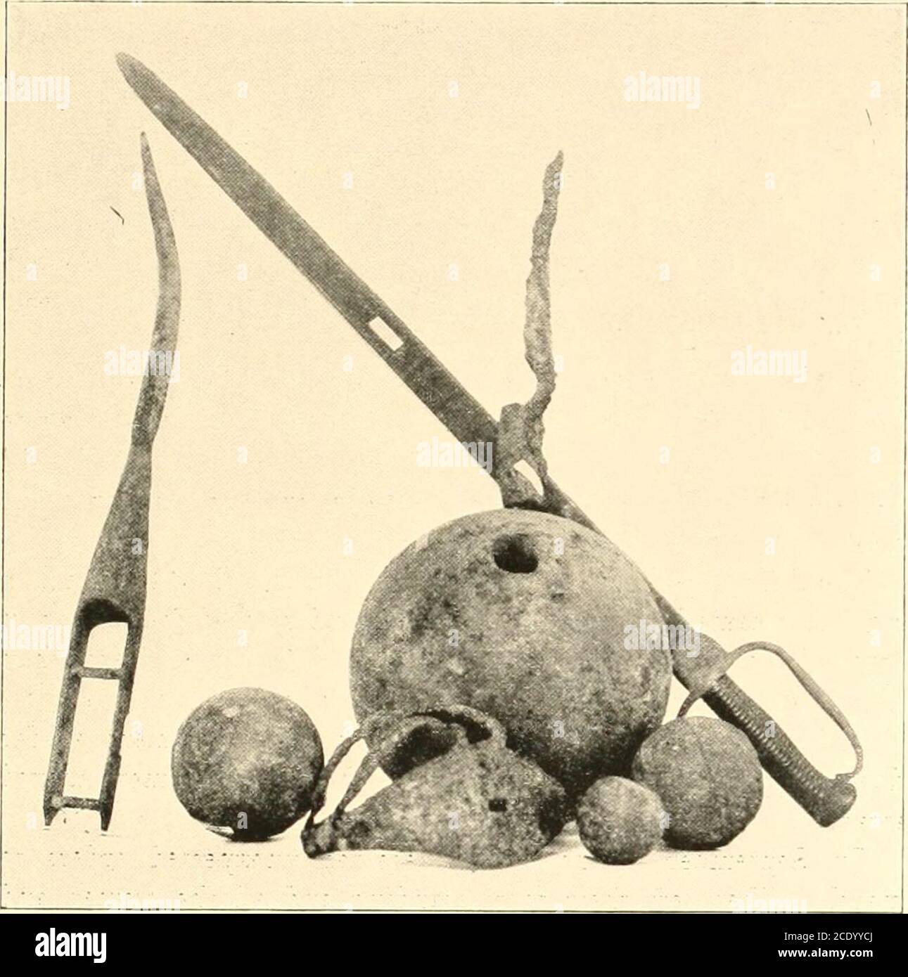 Broken clam shells hi-res stock photography and images - Alamy