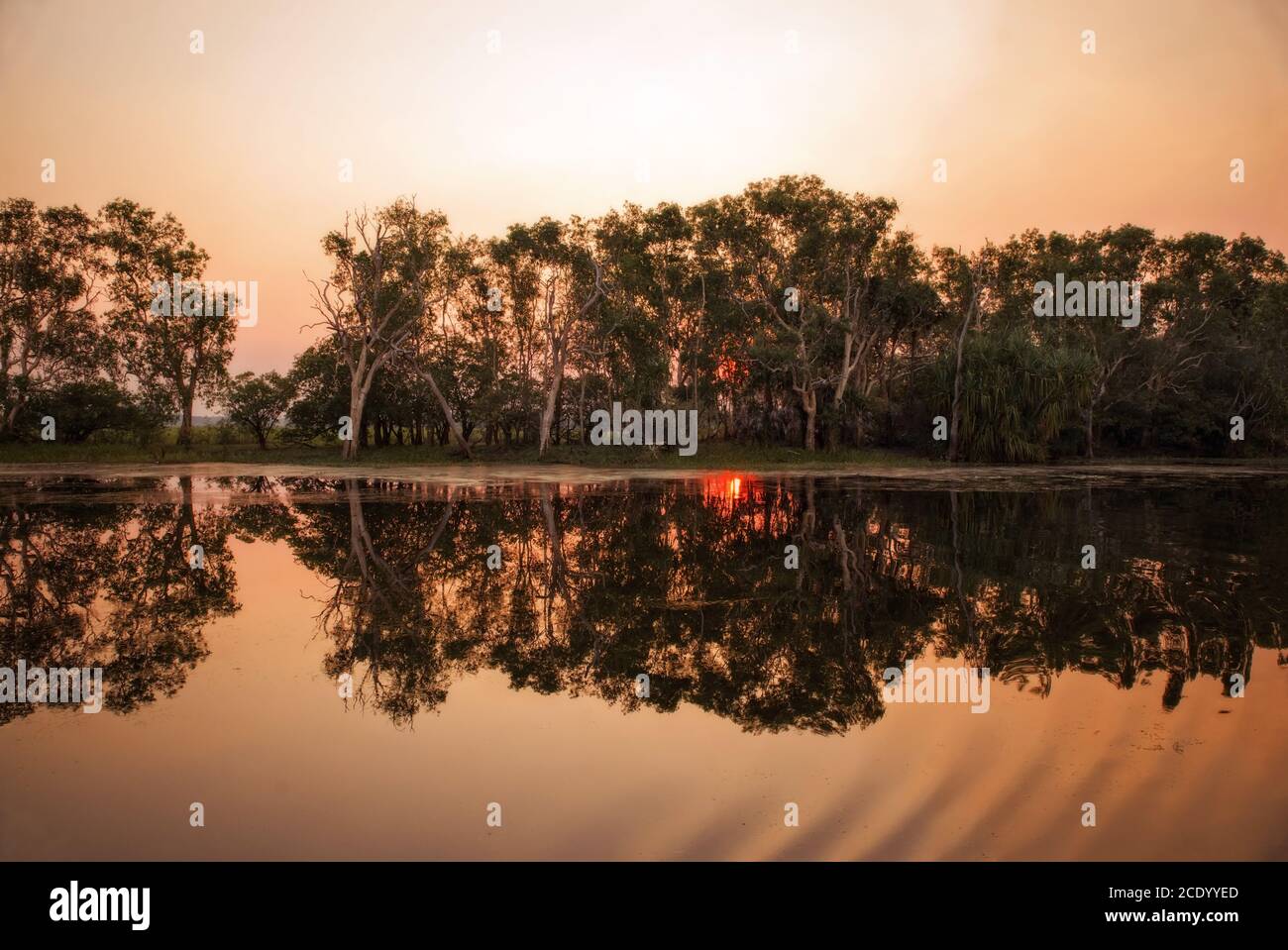 Twilight sunset at the swamp at the outback in Northern Australia ...