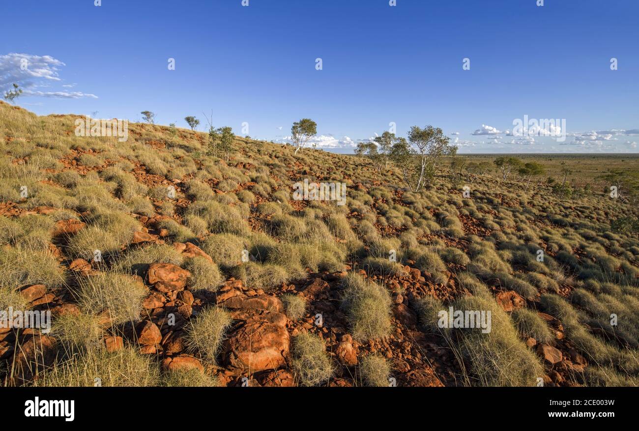 Large meteorite crater at the outback Australia – Wolf Creek crater ...